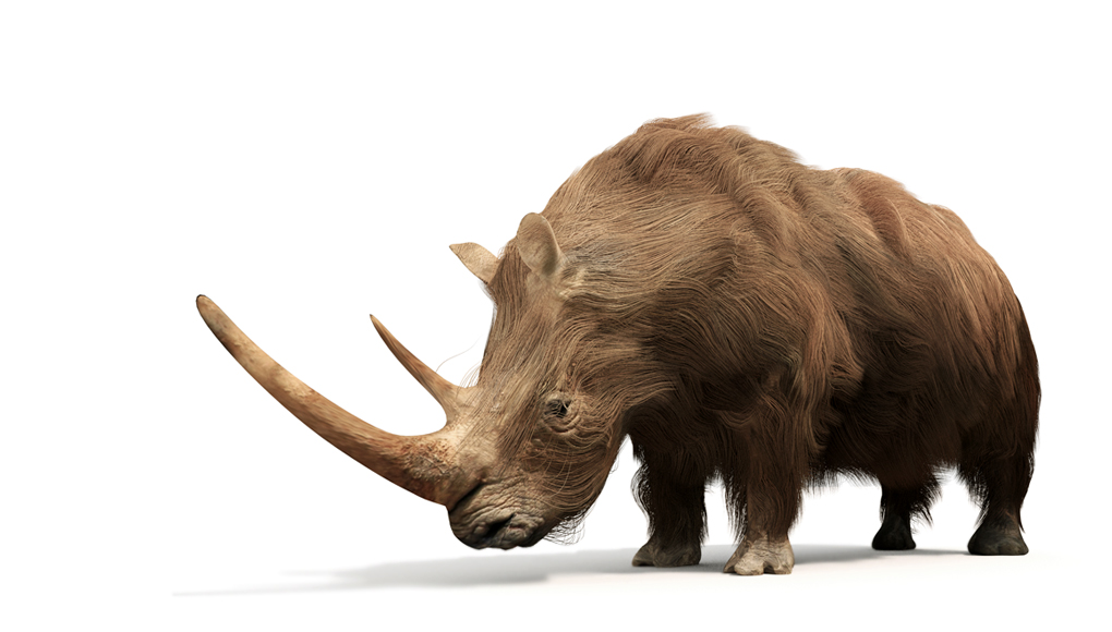 Animals of the Ice Age – Ice Age Worcestershire